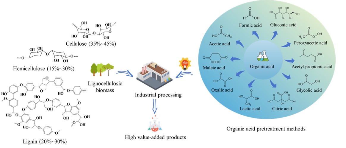 我院教师在生物领域国际权威期刊International journal of Biological Macromolecules上发表文章